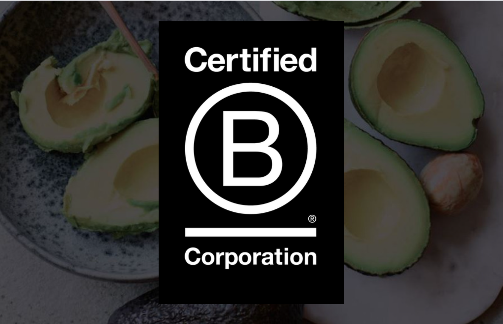 What is a B Corp? - B Lab UK